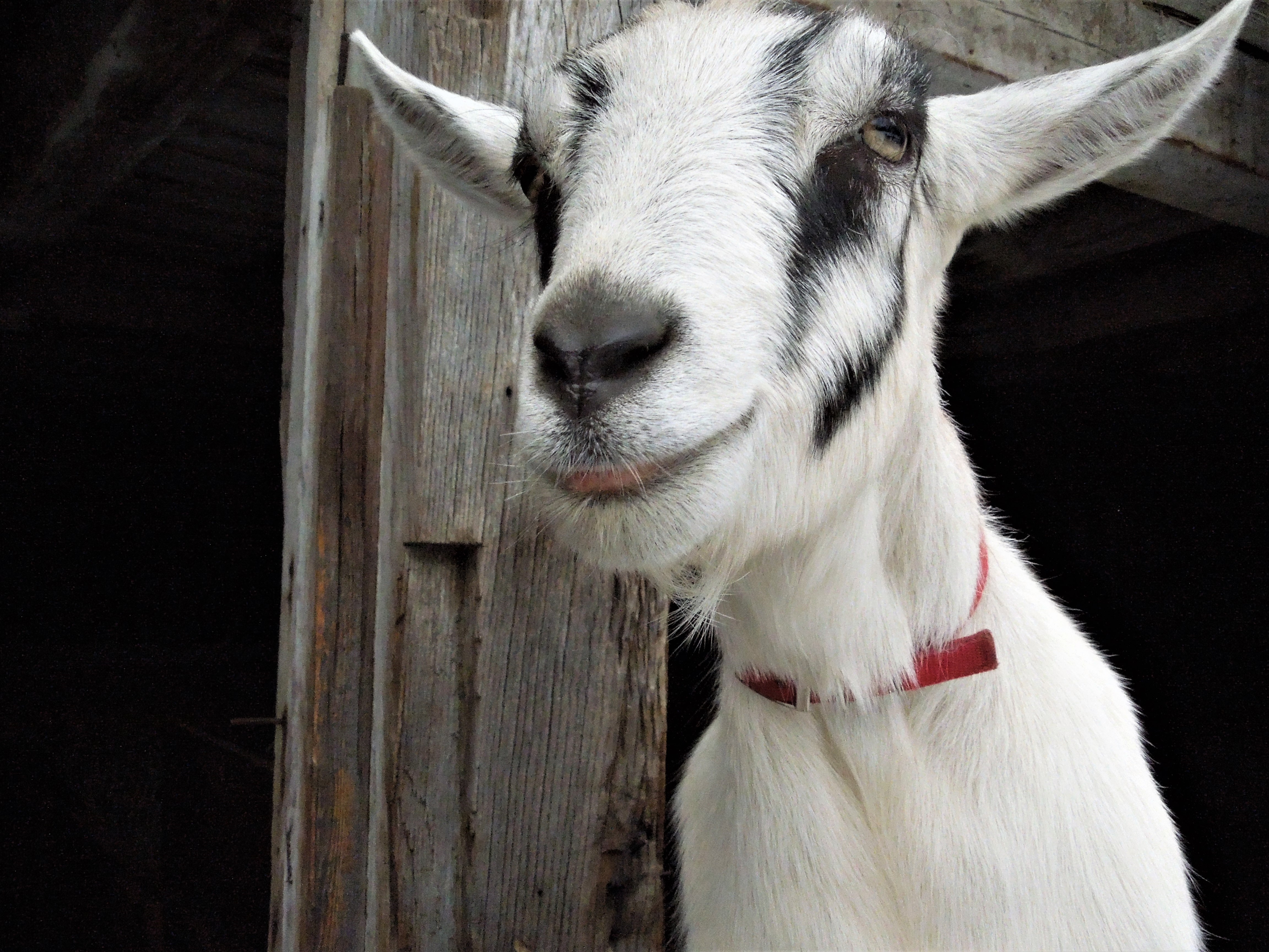 About Colby Hill Inn and the Grazing | Culinary Agents
