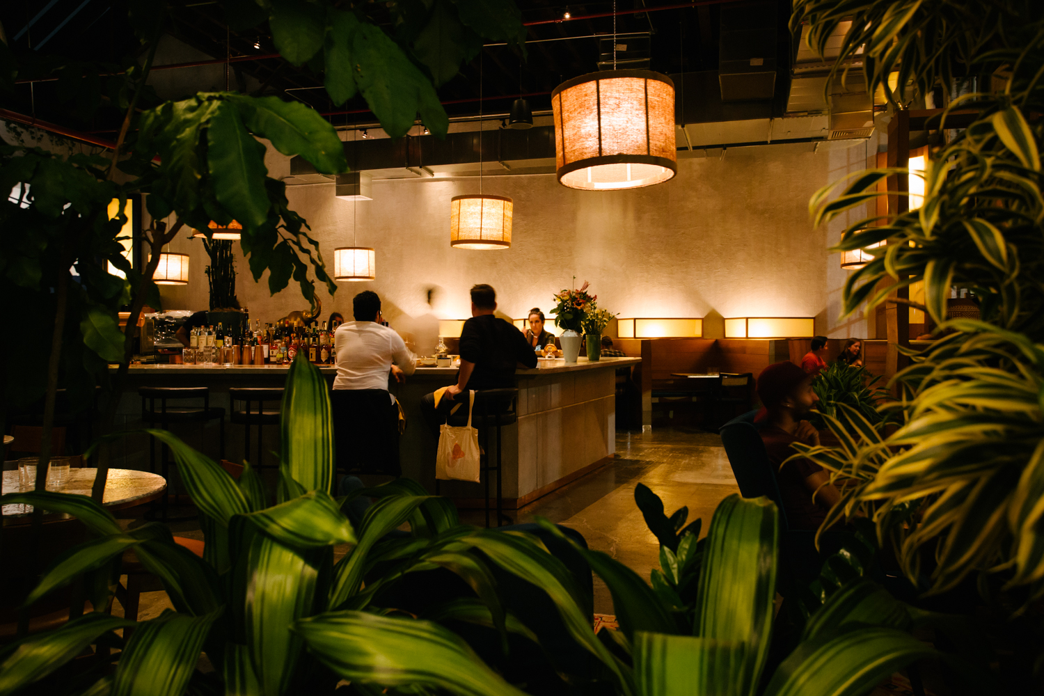 Learn about Nura part of Dhioghi Hospitality | Culinary Agents